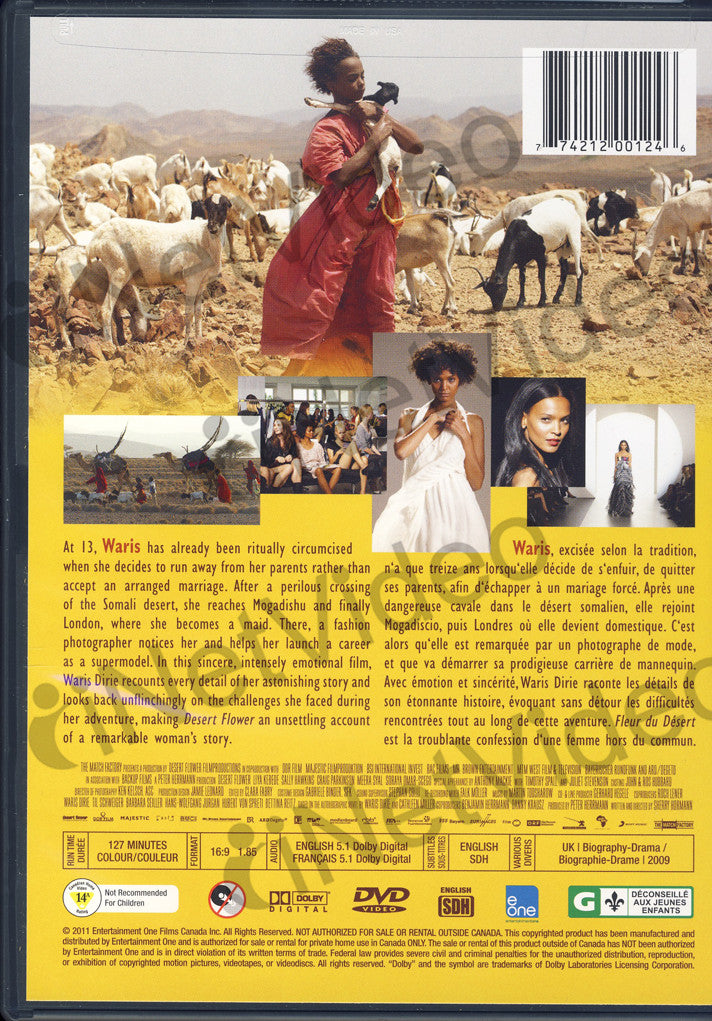 Desert Flower Movie Poster