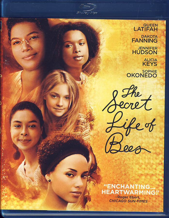 Sophie Okonedo Secret Life Of Bees