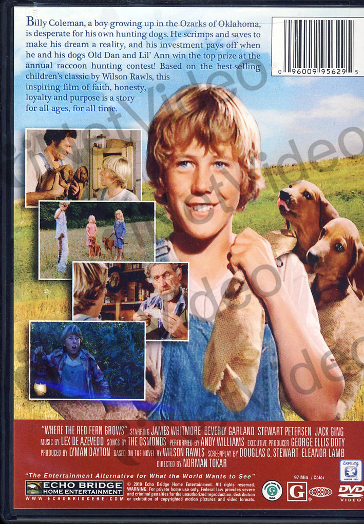 Where The Red Fern Grows Billy Actor