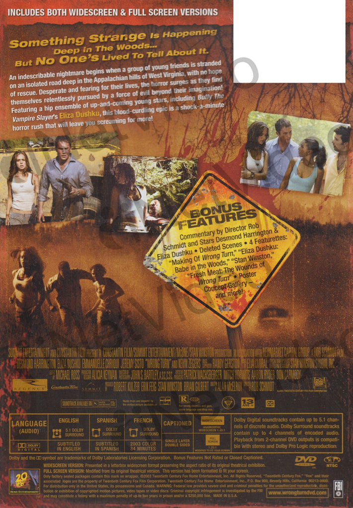 Desmond Harrington Wrong Turn